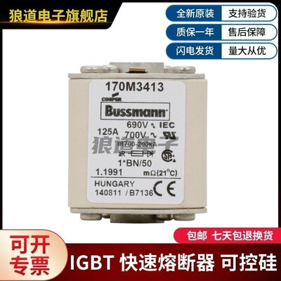 巴斯曼熔断器 型号齐全170M3412 170M3413 170M3414 170M3415现货