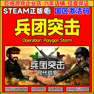 steam 兵团突击 Operation: Polygon Storm 国区激活码CDKey