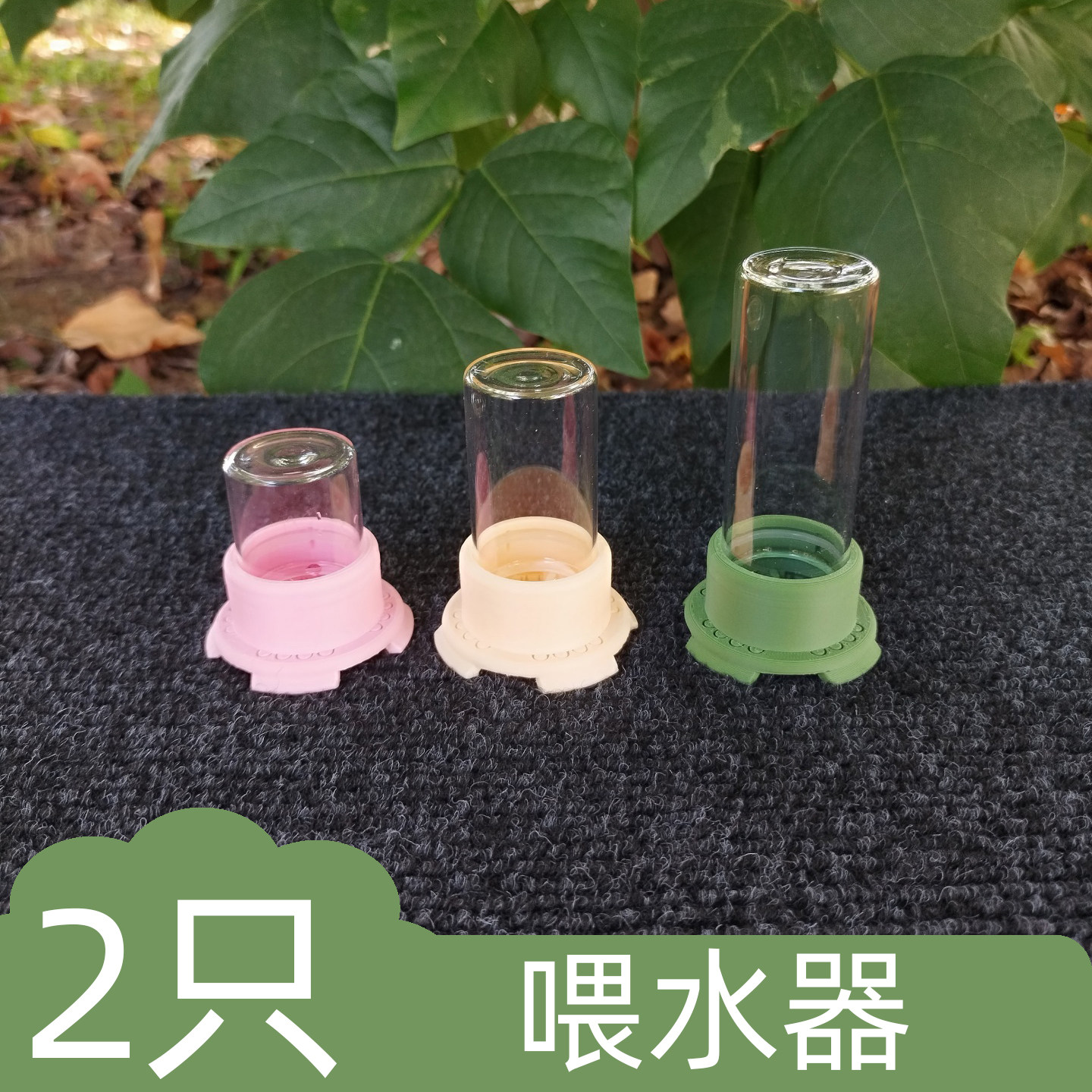 蛐蛐大容量饮水器防咬设计内置喂水塔爬宠养殖防溺水饮水用具