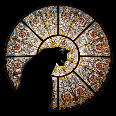 教堂猫木质3000片拼图定制cathedral cat生日新年礼物儿童玩具