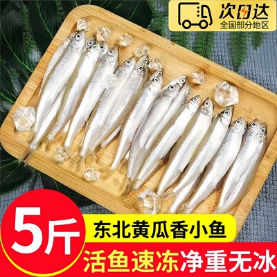 东北当季新捕无冰冷冻黄瓜香鱼