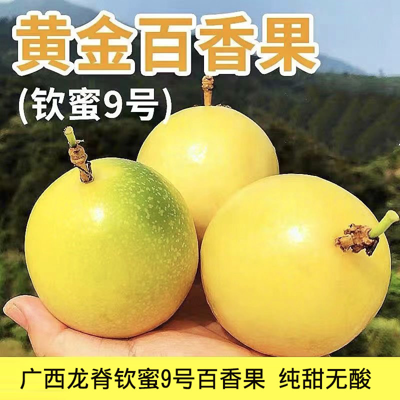 广西钦蜜9号纯甜无酸桂林龙脊黄金百香果龙胜百香果新鲜新鲜包邮