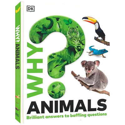 DK 为什么系列 Why Animals 动物 对令人困惑问题的精彩解答 精装 全彩插图 自然动物科普百科读物 英文原版进口图书