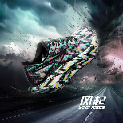 飞燃3.0专业马拉松碳板跑步鞋361