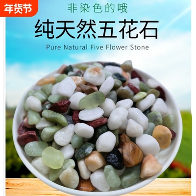 天然五彩石鱼缸造景植物铺面