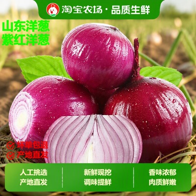 农家自种紫皮洋葱3斤150g+新鲜