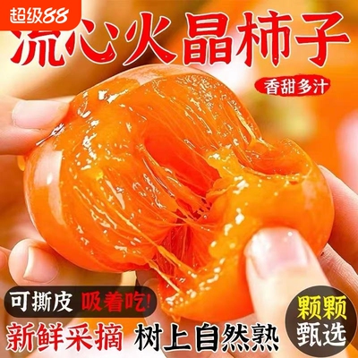 山西火晶柿子蜜柿当季无核新鲜