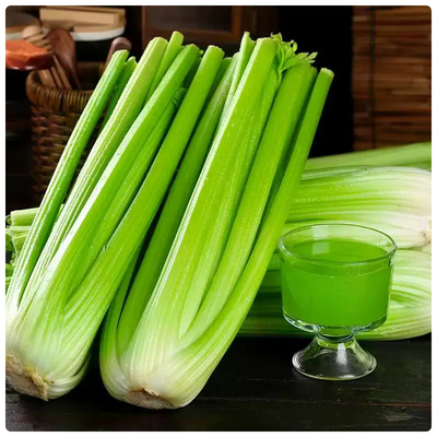 山东新鲜西芹农家自种产地直发