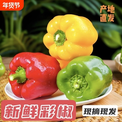 新鲜彩椒生吃甜椒圆椒五彩椒柿子椒红椒黄椒水果椒太空椒绿椒辣椒