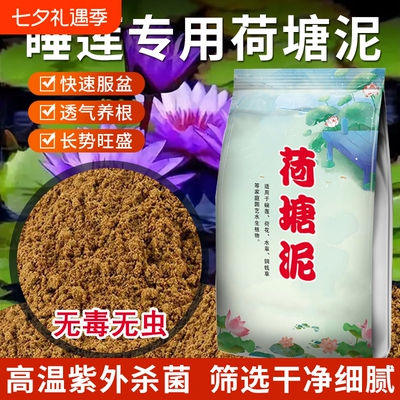月下紫藤鲜荷塘泥碗专用泥土塘泥