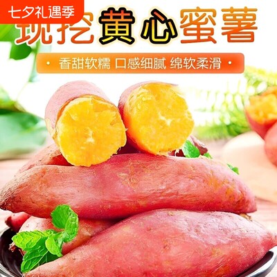 严选沙地龙九蜜薯红薯番薯糖心新鲜黄心烤地瓜山芋农家自种板栗