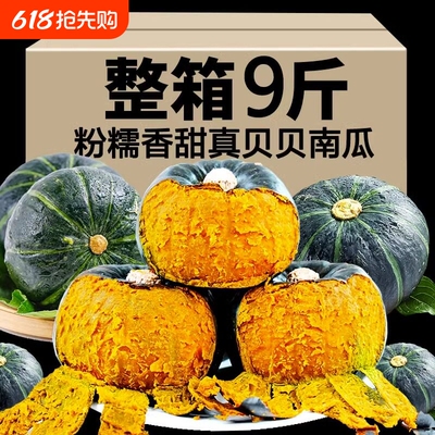正宗贝贝南瓜新鲜板栗味小南瓜1