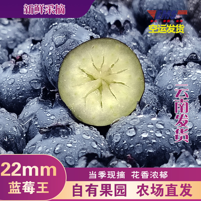 云南高山花香蓝莓25新鲜采摘