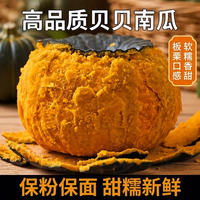 正宗贝贝南瓜板栗味粉糯香甜小南瓜粉绵软宝宝辅食源头农场新鲜