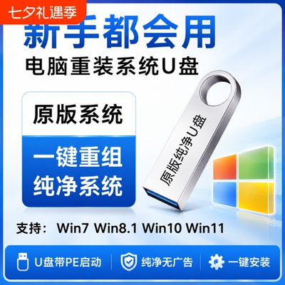 电脑一键安装win11重装系统u盘专业原版纯净7旗舰windows10pe启动
