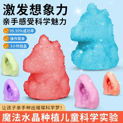 儿童益智趣味化学科学小实验手工制作DIY自种水晶马生长结晶溶洞