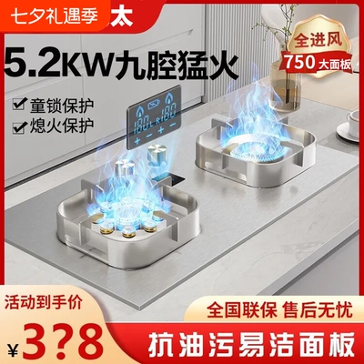 好太太大面板双灶猛火燃气灶