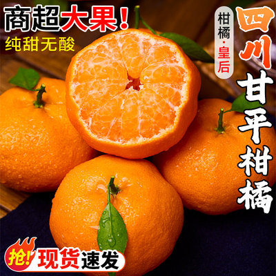 正宗四川眉山正宗甘平柑橘皇现发