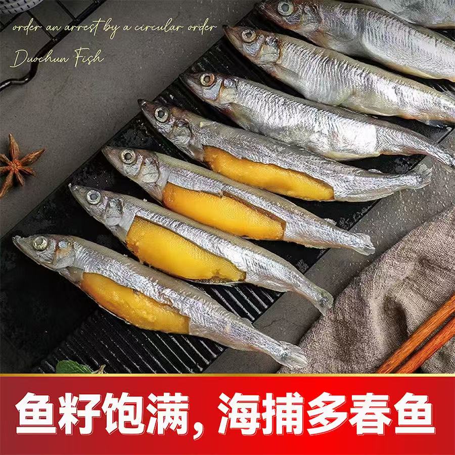 多春鱼满籽新鲜商用海鱼多籽鱼冻干海鲜水产鲜活冷冻烧烤食材