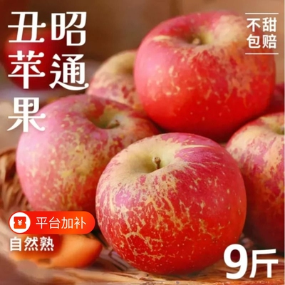 云南昭通丑冰糖心苹果新鲜当季整箱9斤脆甜多汁红富士现摘现发