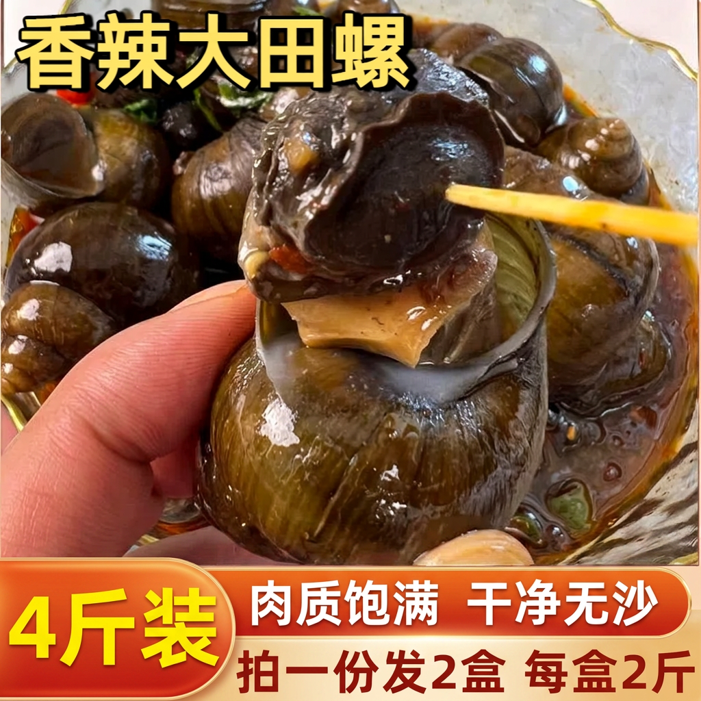 麻辣大田螺香辣夜宵下酒小零食加热田螺开袋即食鲜活新鲜冷冻美味