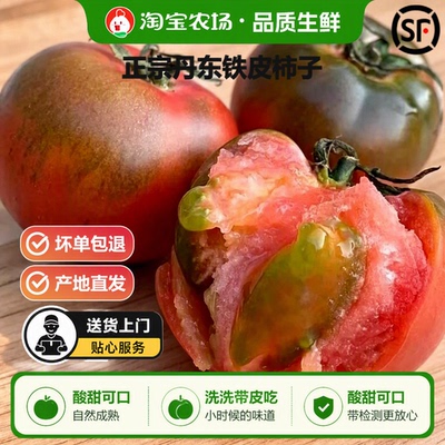 丹东盐碱地铁皮柿子草莓番茄碱地油柿子新鲜生吃顺丰包邮农场正宗