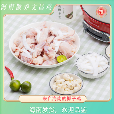 椰子鸡火锅正宗海南农家散养走地土鸡肉营养健康食材椰子鸡火锅