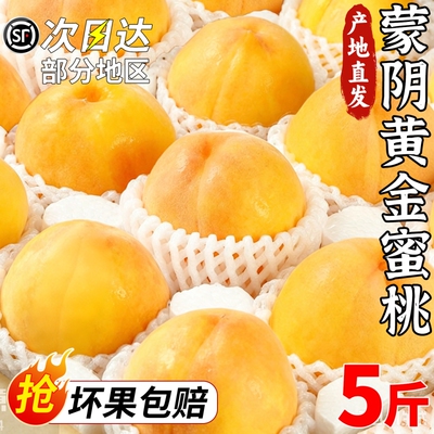 顺丰黄桃黄金蜜桃子新鲜水果当季整箱大果蒙阴蜜桃砀山毛脆甜桃香