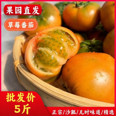 丹东铁皮柿子自然熟生吃新鲜铁皮西红柿当季绿腚番茄水果顺丰沙瓤