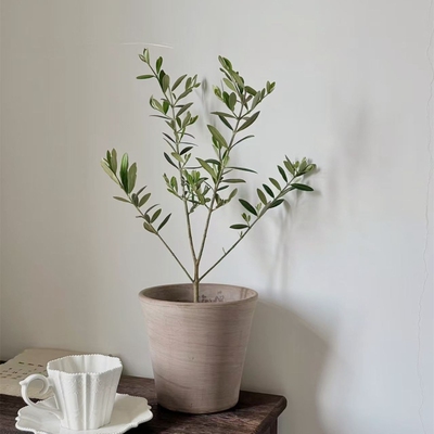 高款特大号超大陶瓷花盆透气盆种树大口径60cm以上大门庭院栽树