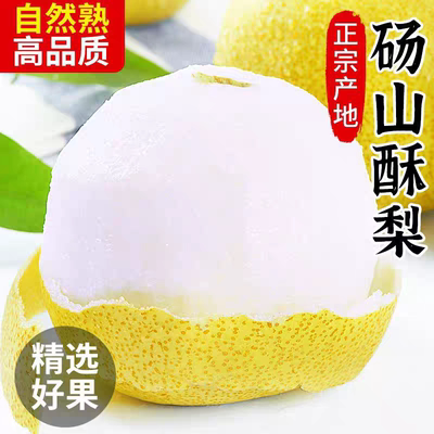 正宗砀山酥梨当季水果脆甜多汁