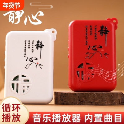 小型迷你便携式播放器老人随身挂脖款可充电播放机高清音质音乐机