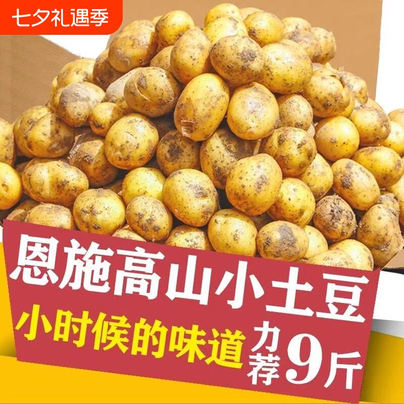 正宗恩施小土豆现挖精品黄心黄皮当季蔬菜特产洋芋迷你马铃薯