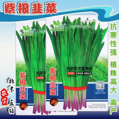 四季庭院蔬果割茬包邮韭菜种子