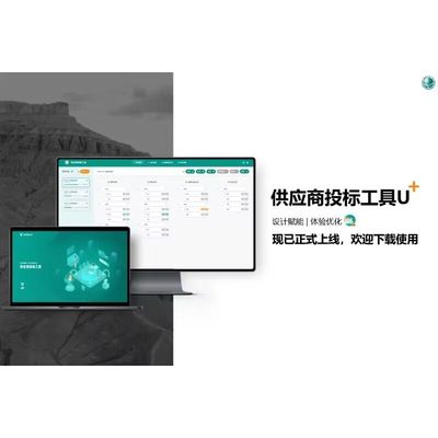 国网office2010 2013 2016完整版远程安装标书招投标国家电网优泰