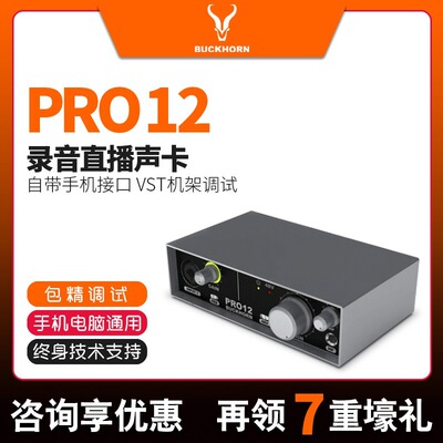 跳羚PRO12电脑手机通用主播网红录音网络直播K歌usb外置声卡套装