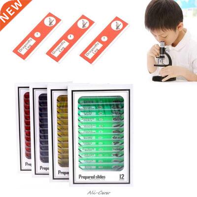 48Pcs/Set Prepared Microscope Slides Specimen Animals Insect