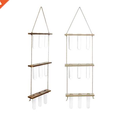 Test Tubes Glass Planter Wall Hanging Terrium Container Fl