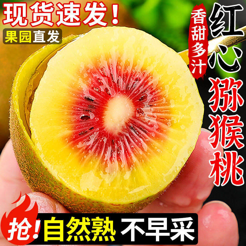 四川红心猕猴桃奇异果新鲜应当季新鲜水果弥猴桃孕妇现摘大果包邮