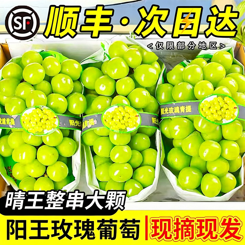 阳光玫瑰葡萄新鲜水果晴王葡萄无籽香印提子青提当季整箱顺丰包邮