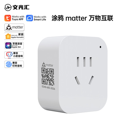 涂鸦Matter国标计量插座Homekit