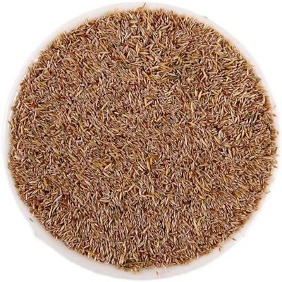 剪股颖草籽免修剪矮生庭院高档草坪真草籽四季青耐寒耐旱草皮种子