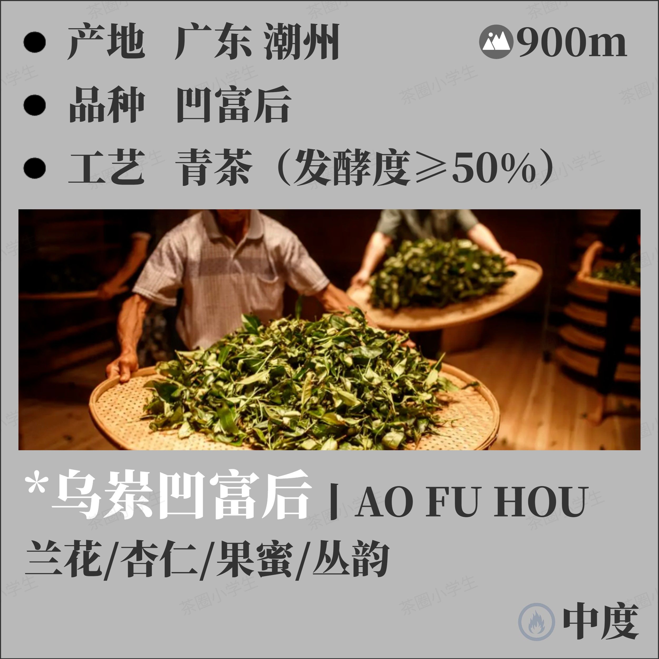 「凤凰单丛」春散茶*乌岽凹富后*中焙火*杏仁香*品鉴级罐装50g