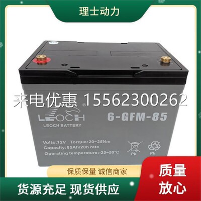 理士新能源 动力蓄电池 6-EVF-90 12V90AH 电动轿车