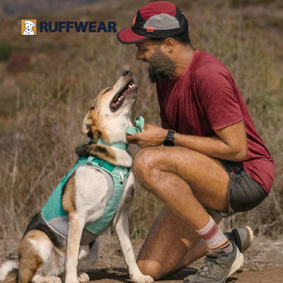 拉夫威尔ruffwear嗨轻狗胸背宠物背心式牵引绳大中小型犬防爆冲