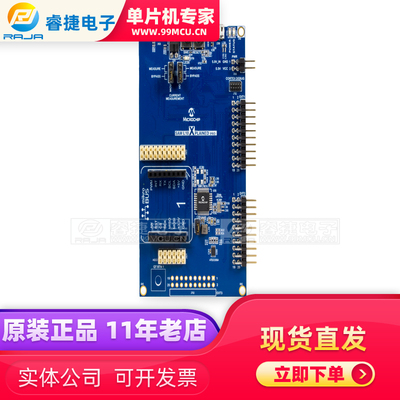DM320204 SAM L10 XPLAIND PRO ATSAML10E16A 嵌入式评估板 原装