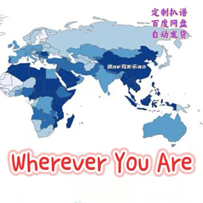 Wherever You Are 萨克斯单簧管谱长笛小提琴皮皮音乐收藏馆