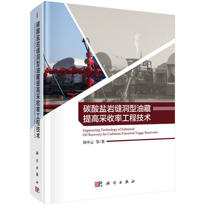 现货碳酸盐岩缝洞型油藏提高采收率工程技术 刘中云 等科学出版社