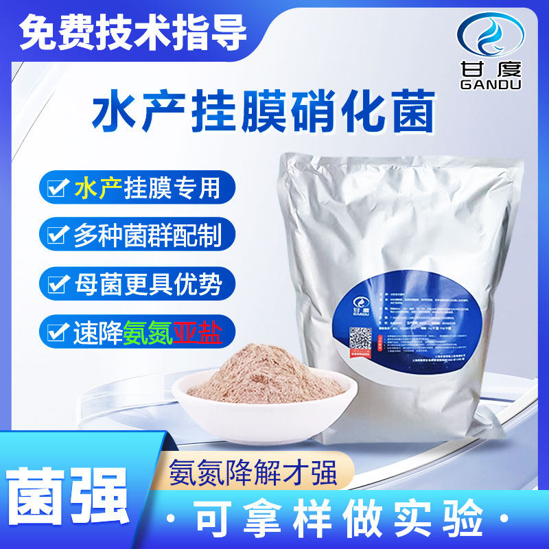 甘度循环水产鱼虾养殖挂膜专用微生物硝化菌降解氨氮亚盐硝化菌剂