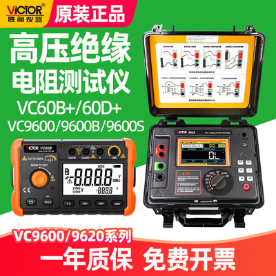 胜利VC9600B/C超高压绝缘电阻表